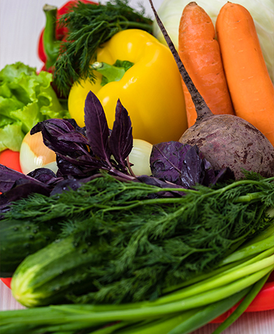 Prepare for Your Fall Edible Garden | Arizona SummerWinds