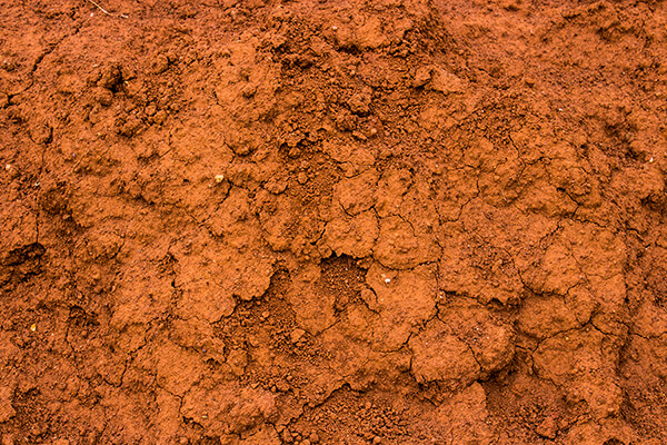 Getting Dirty: How To Use Different Types of Soil