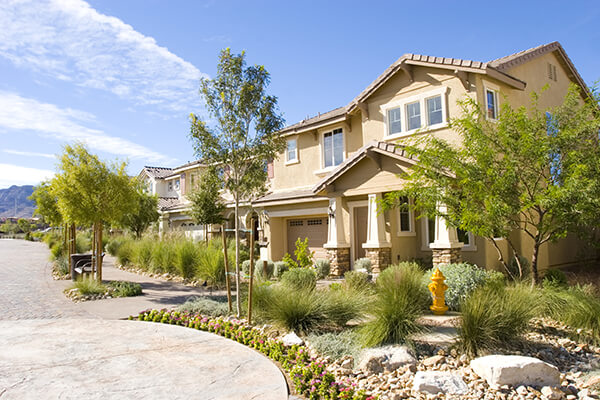 The Drawbacks of Desert Rockscapes | Arizona SummerWinds