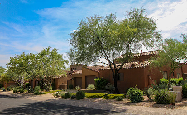 The Drawbacks of Desert Rockscapes | Arizona SummerWinds