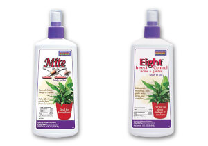 Protect Plants from Unwanted Insects | Arizona SummerWinds