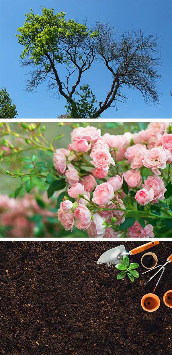 Lava Sand Is An Interesting Garden Product | SummerWinds, AZ