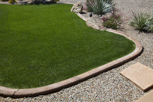 Weed Free: Your Guide to Pre-Emergents | AZ SummerWinds