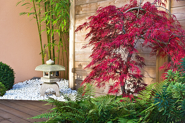 Landscape Design with Japanese Maples | SummerWinds, CA