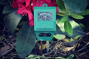 Understanding Soil Health and Acidic Soil - SummerWinds CA