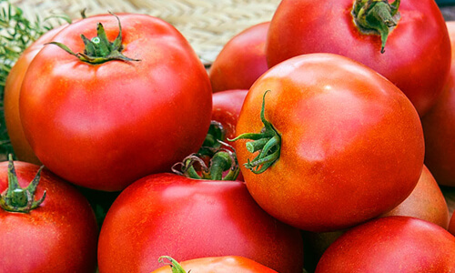 Hybrid Tomatoes | Varieties | California SummerWinds