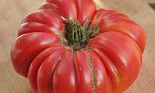 Heirloom Tomatoes | Varieties | California SummerWinds
